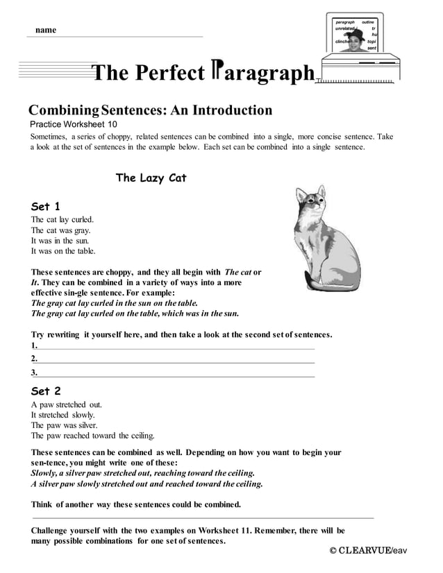 Paragraph exercises | DOC