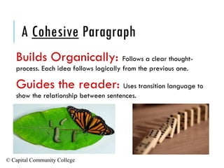Paragraph structure | PDF