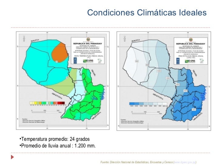 Presentación Paraguay I