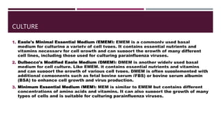 para influenza virusaaaaaaaaaaaaaaa.pptx