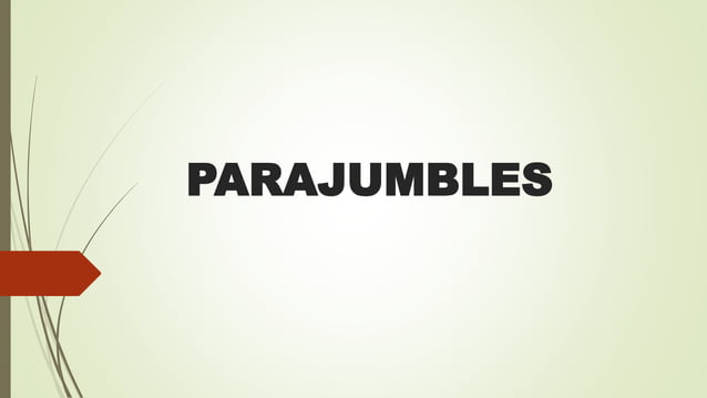 PARAJUMBLES Worksheets.pptx