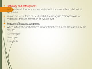 Echinococcosis | PPTX