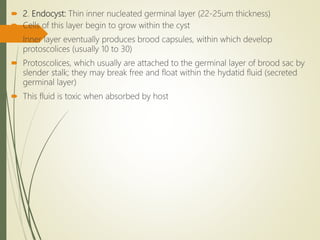 Echinococcosis | PPTX