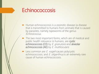 Echinococcosis | PPTX