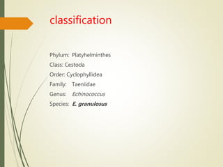 Echinococcosis | PPTX