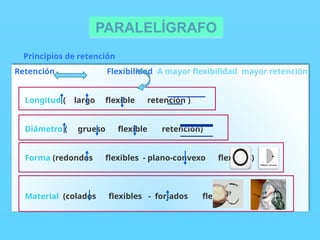 partes y componente del paraleligrafo y su secuencia | PPTX