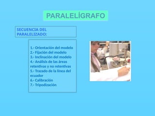 partes y componente del paraleligrafo y su secuencia | PPTX