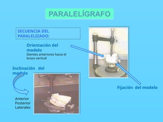 partes y componente del paraleligrafo y su secuencia | PPT