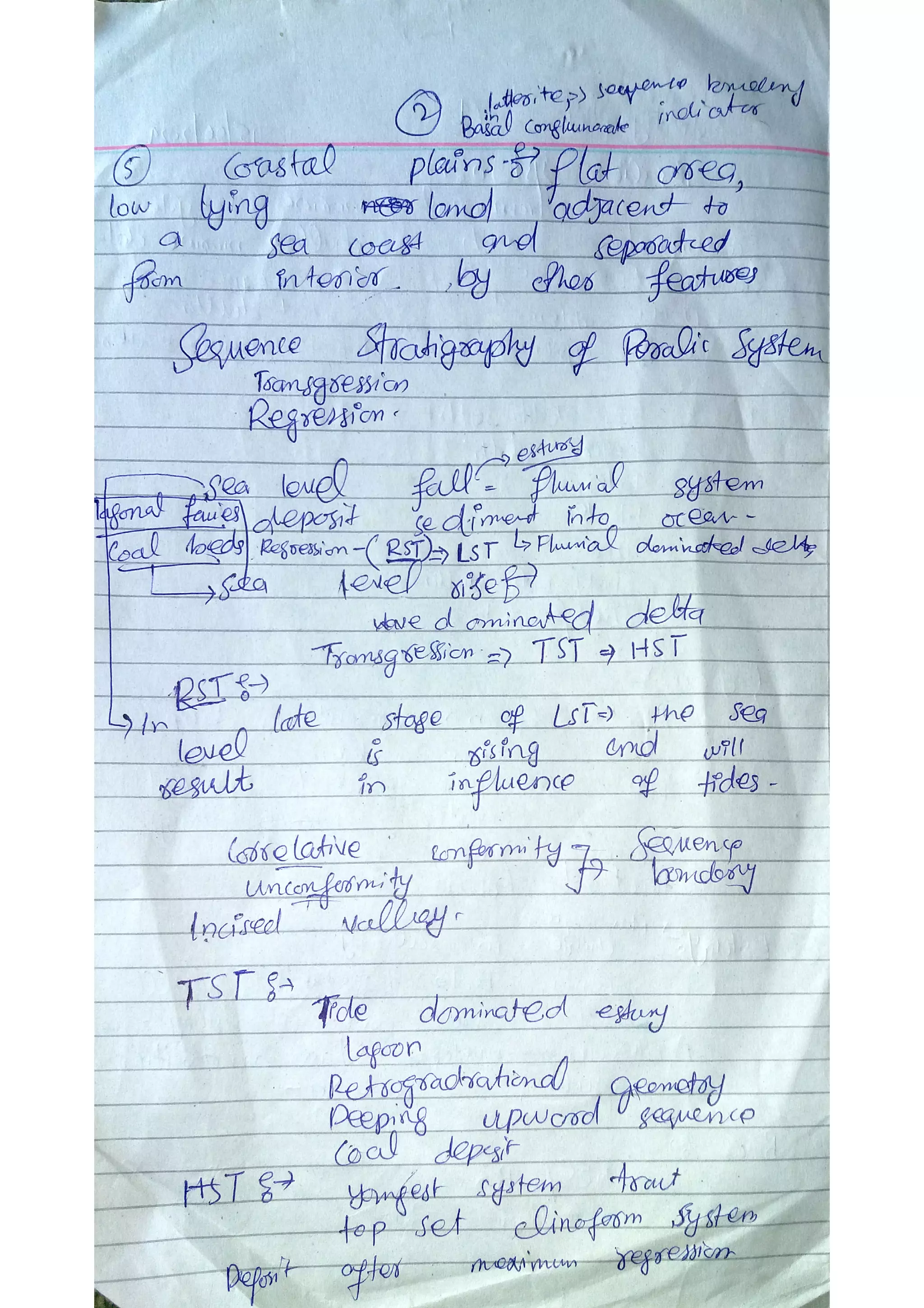 Paralic System | PDF