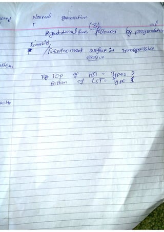 Paralic System | PDF