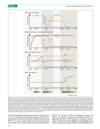 Parallel mechanisms of epigenetic reprogramming in the germline | PDF