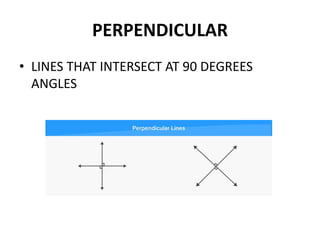 PARALLELOGRAM PPT.pptx