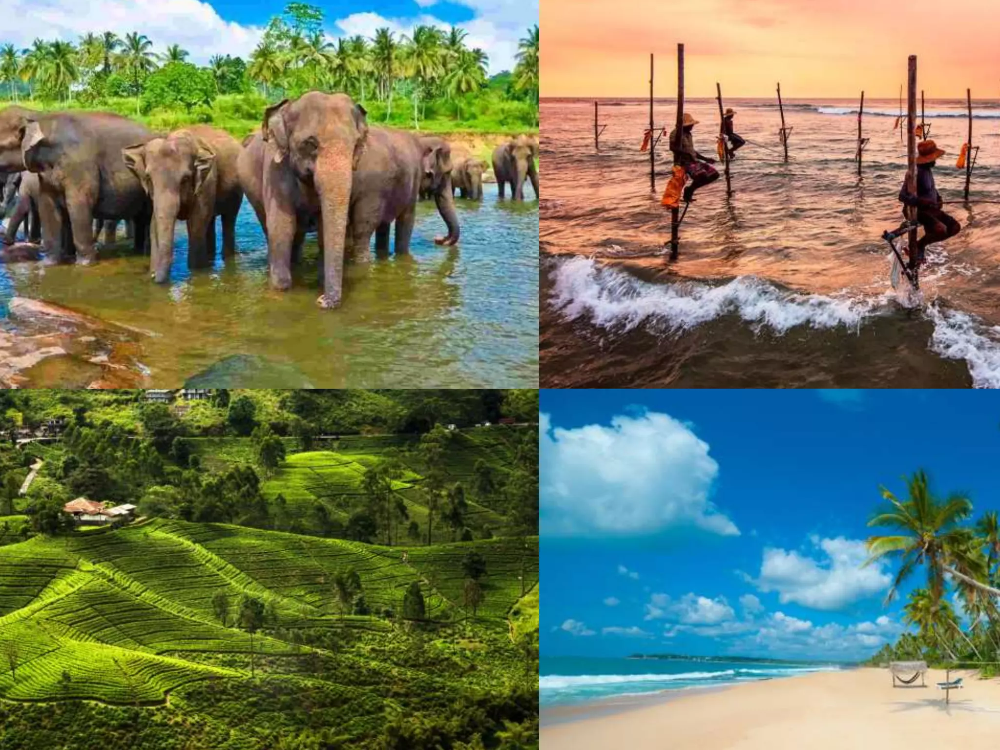 Parallel processing with ruby | PPTX