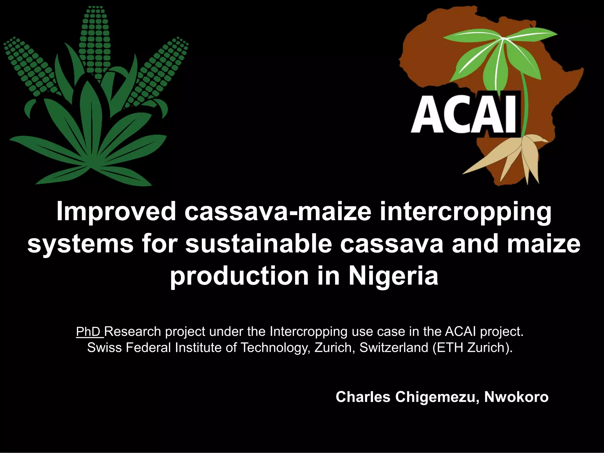 Parallel session 2 5 improved cassavamaize intercropping systems ...