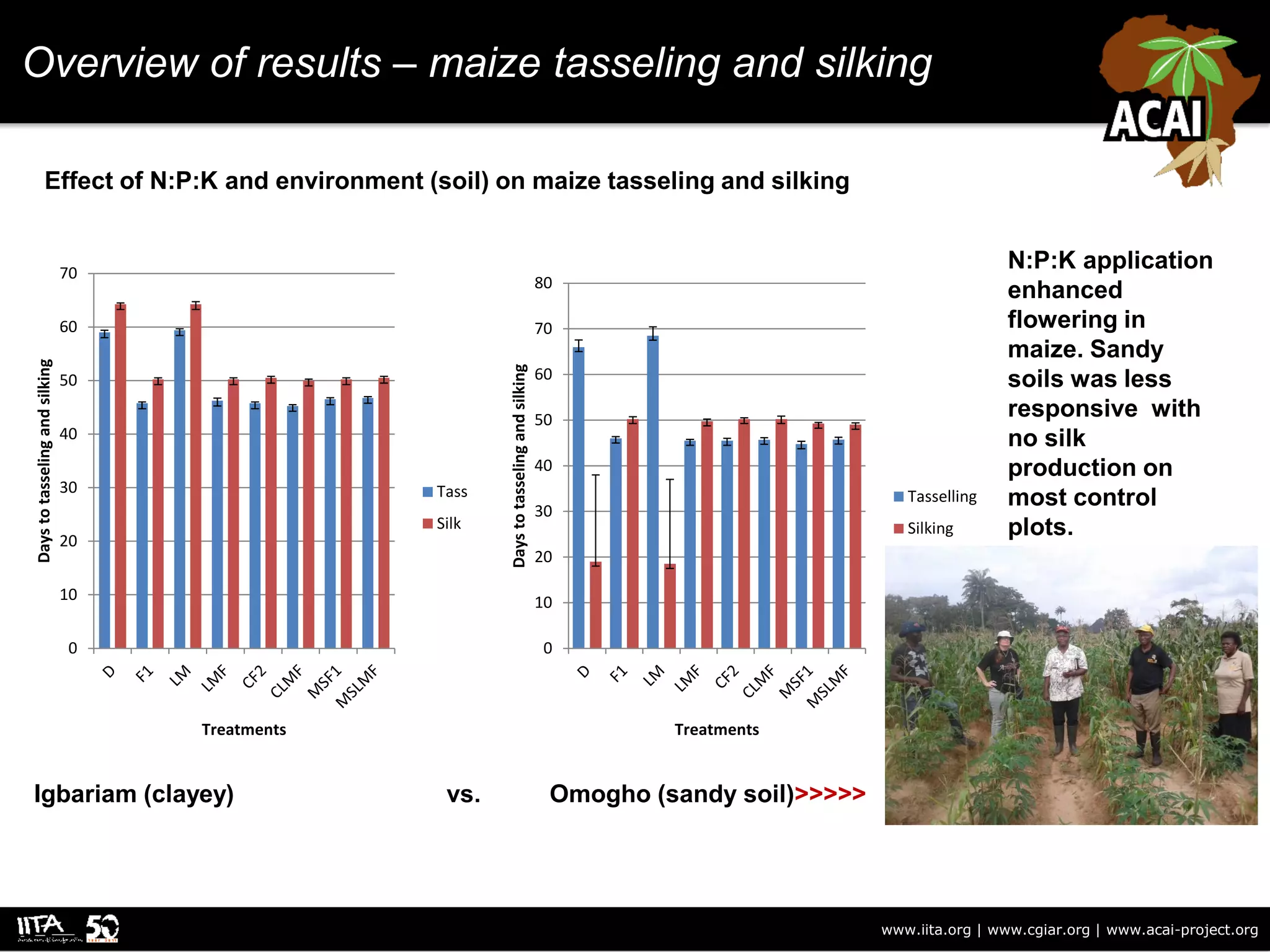 Parallel session 2 5 improved cassavamaize intercropping systems ...