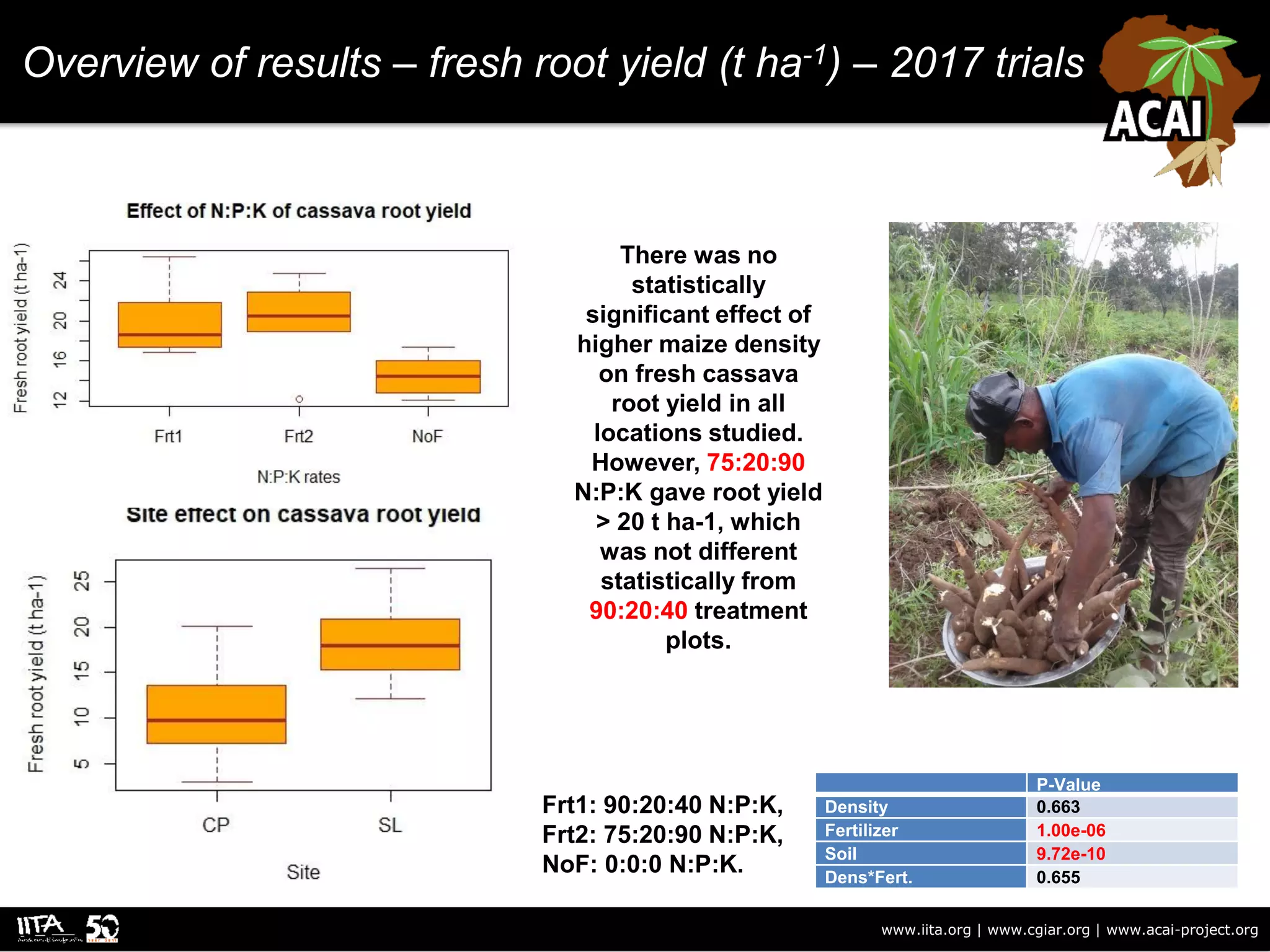 Parallel session 2 5 improved cassavamaize intercropping systems ...