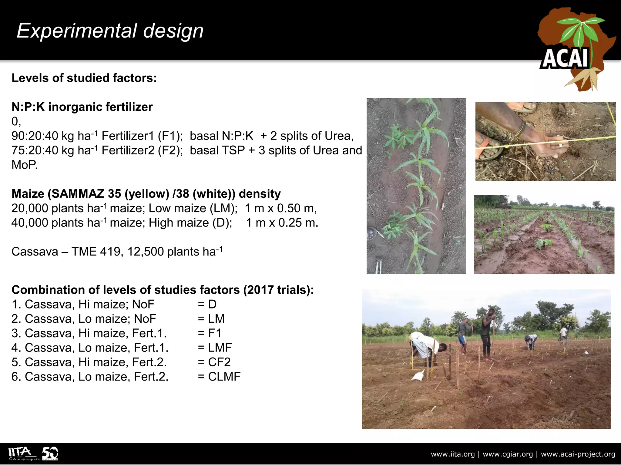 Parallel session 2 5 improved cassavamaize intercropping systems ...