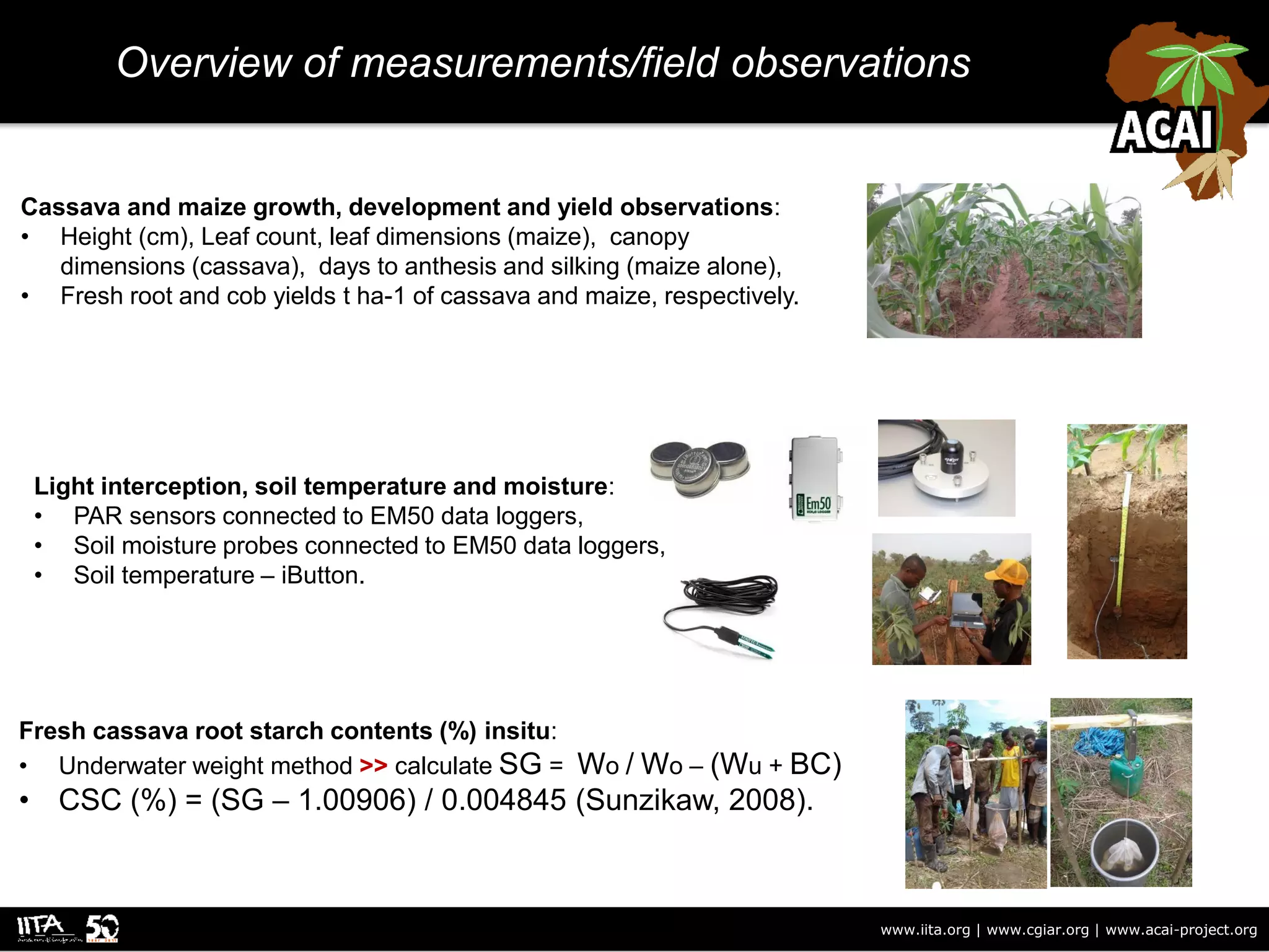 Parallel session 2 5 improved cassavamaize intercropping systems ...