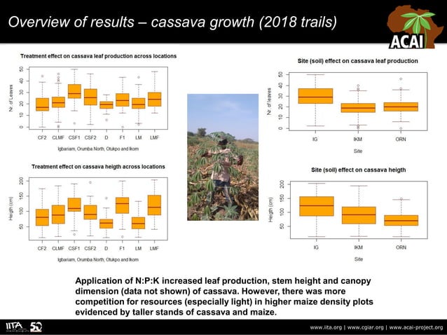 Parallel session 2 5 improved cassavamaize intercropping systems ...