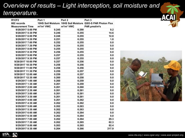 Parallel session 2 5 improved cassavamaize intercropping systems ...