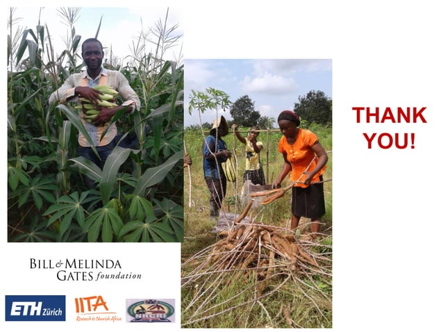 Parallel session 2 5 improved cassavamaize intercropping systems ...