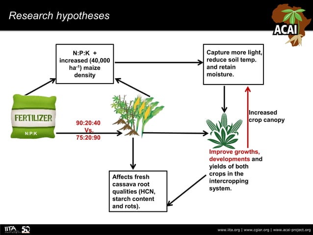 Parallel session 2 5 improved cassavamaize intercropping systems ...