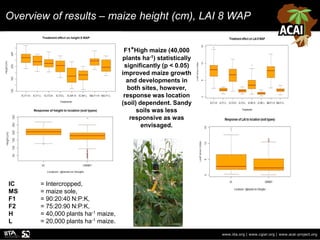 Parallel session 2 5 improved cassavamaize intercropping systems ...