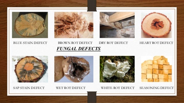 Parallel strand lumber
