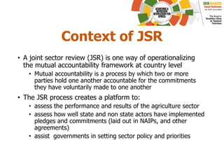 IMPROVING JSR PRACTICES AT COUNTRY LEVEL: ACHIEVEMENTS AND GAPS | PPTX