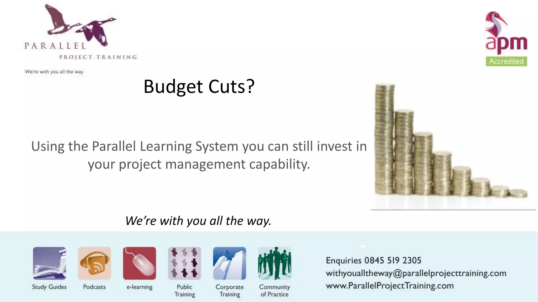 Parallel Project Management Training | PPT