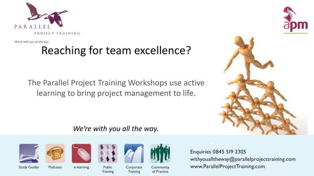 Parallel Project Management Training | PPT