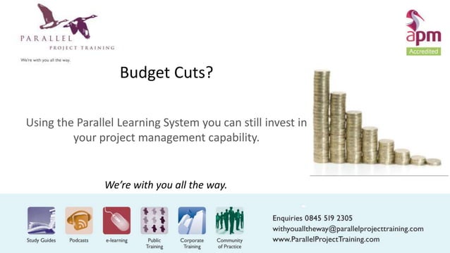 Parallel Project Management Training | PPT