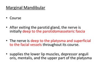 Paralysis of facial nerve | PPTX