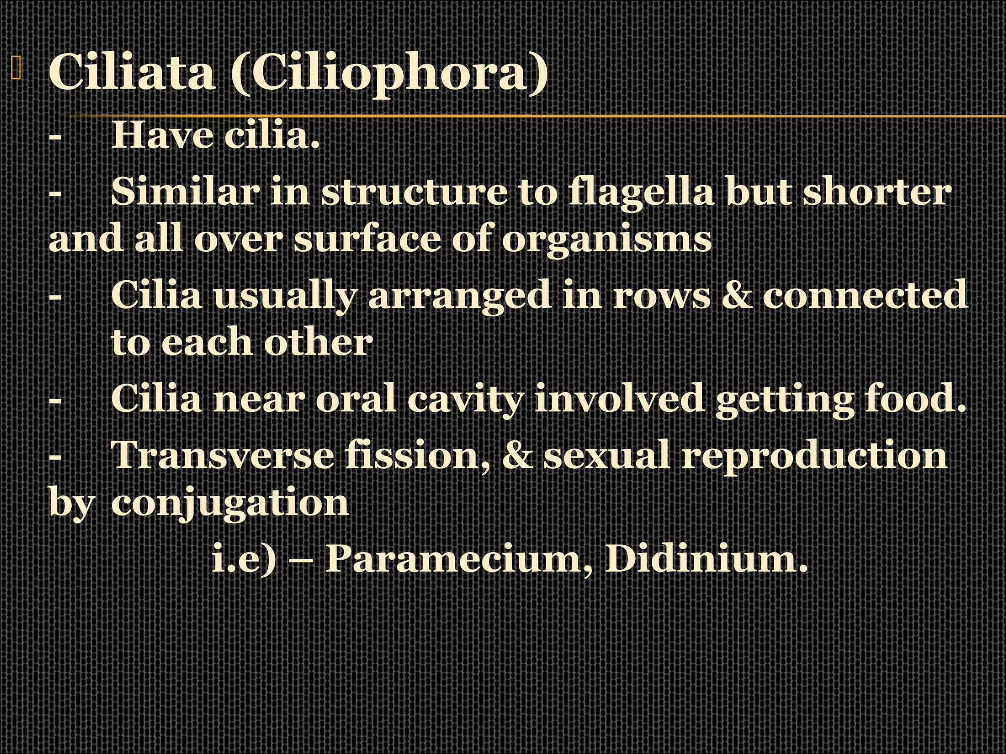 Paramecium | PPT