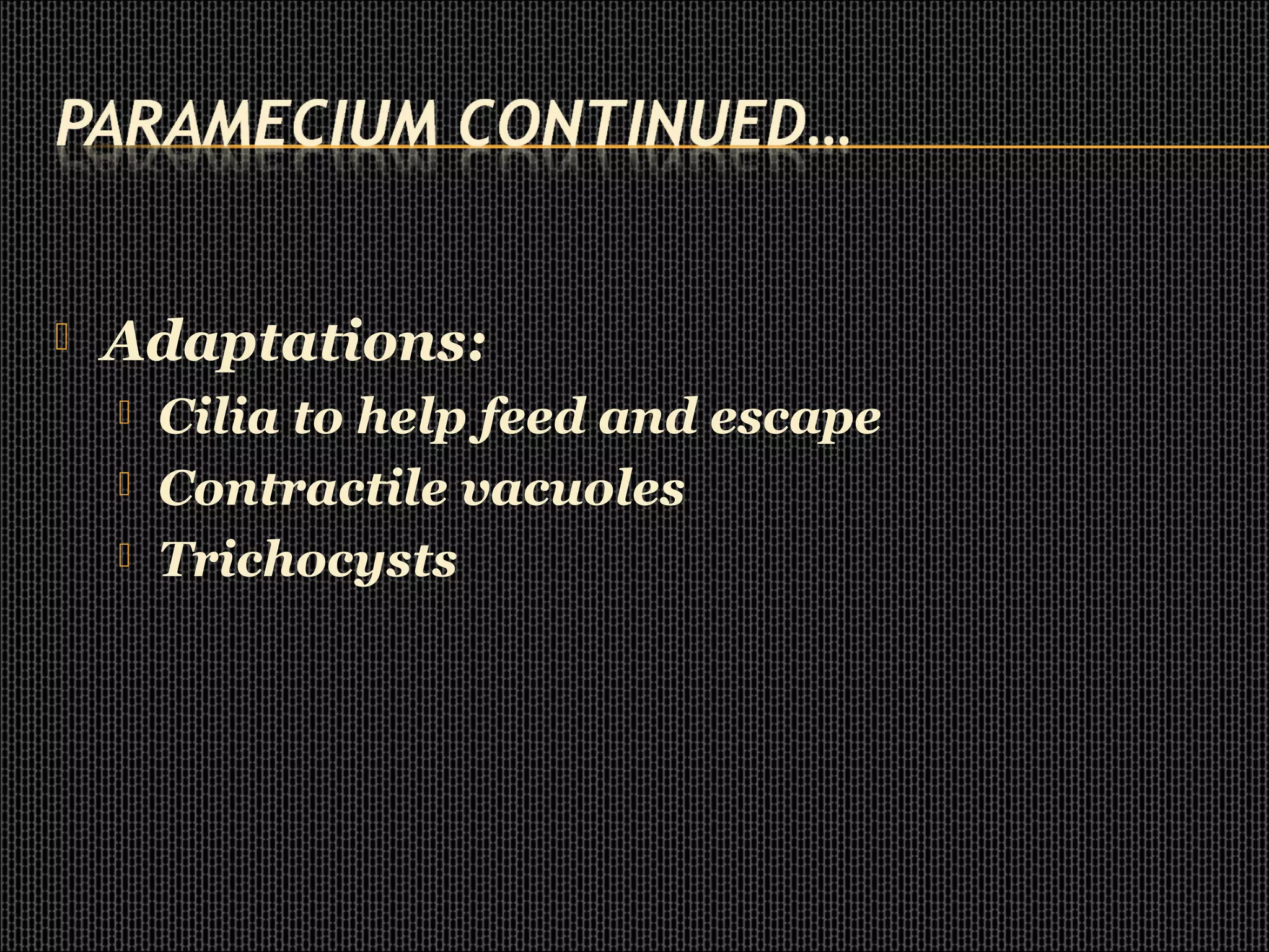 Paramecium | PPT