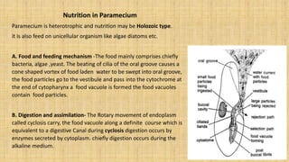 Paramecium locomotion | PPTX