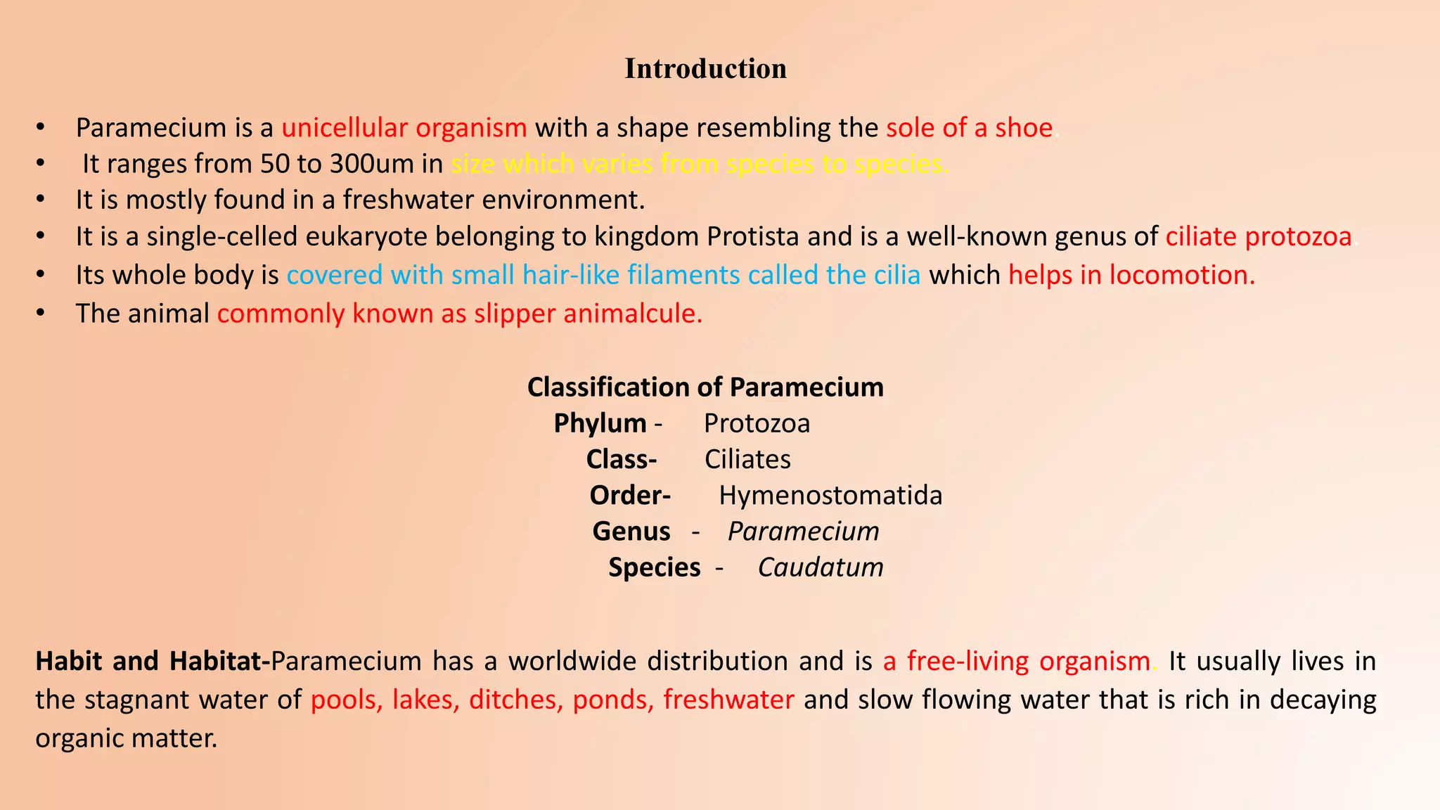 Paramecium structure | PPTX