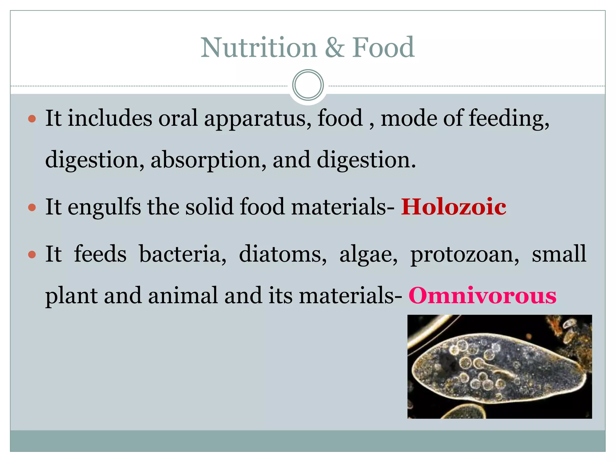 Structure and Reproduction of Paramecium | PPTX