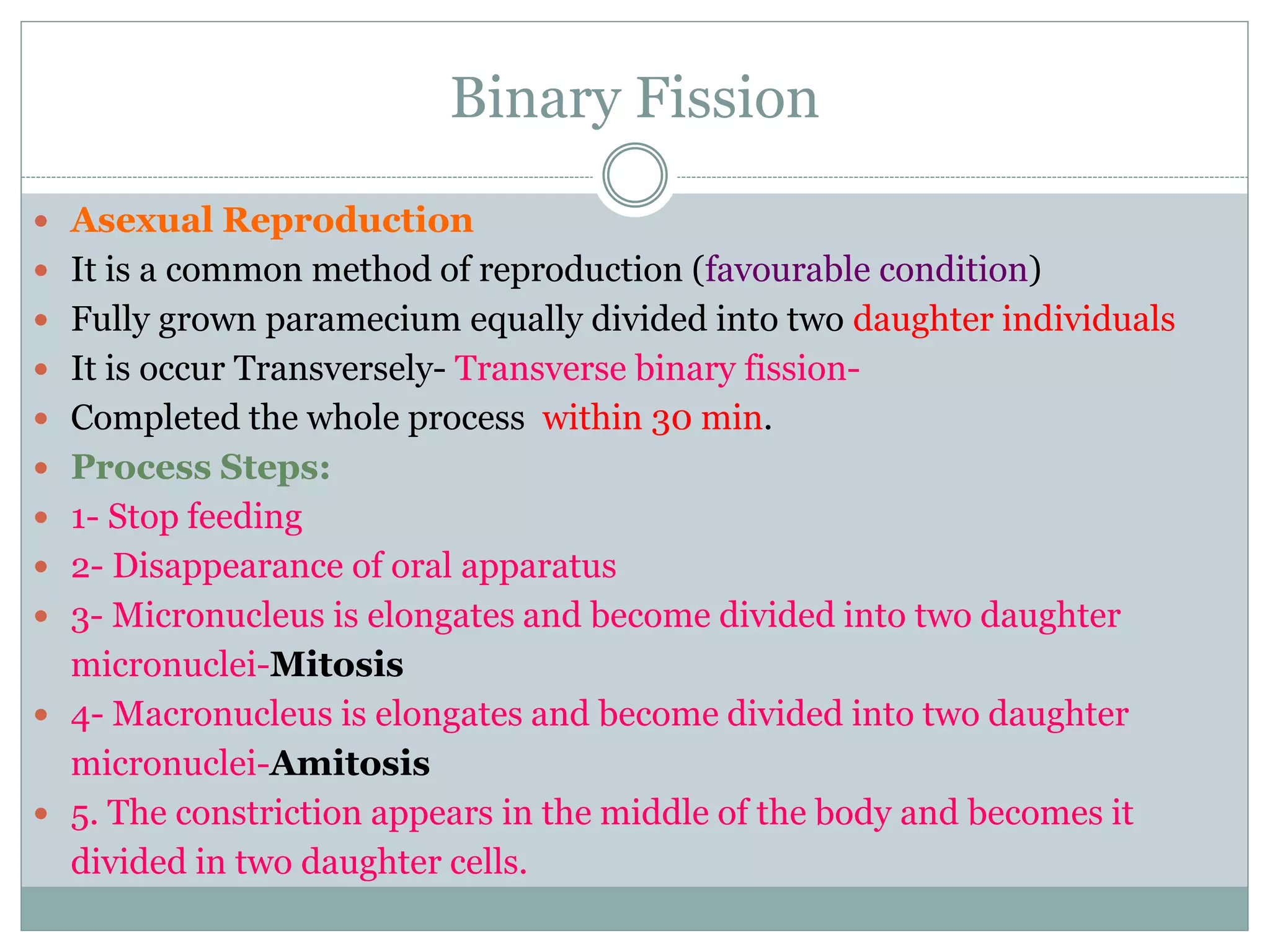 Structure and Reproduction of Paramecium | PPTX
