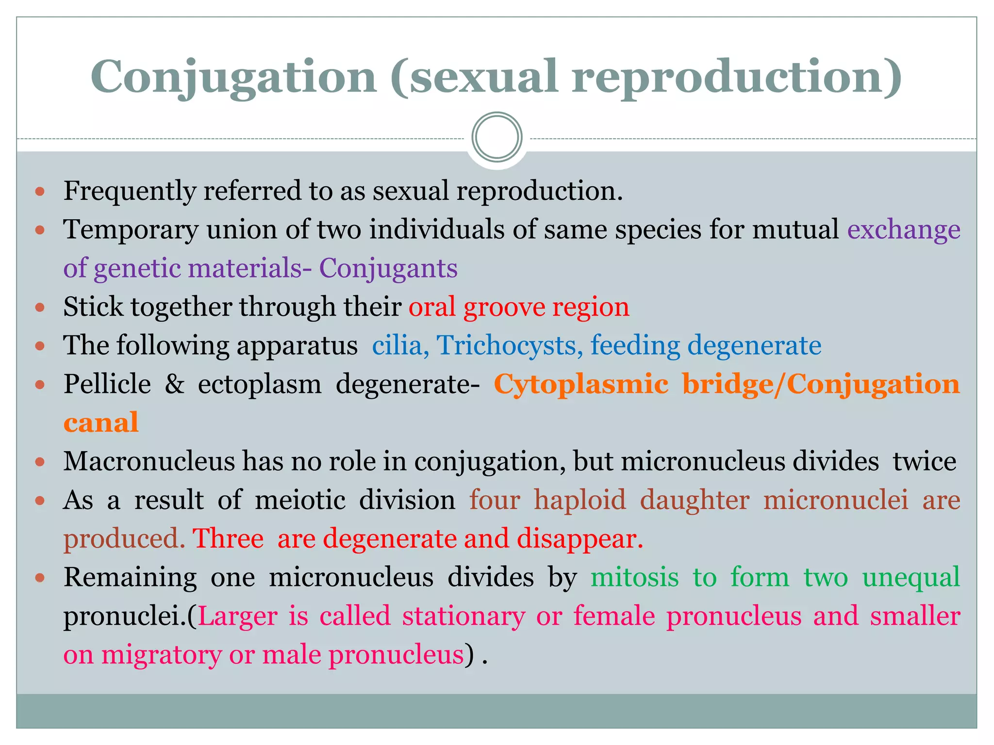 Structure and Reproduction of Paramecium | PPTX