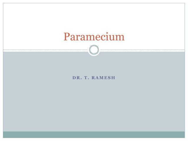 Structure and Reproduction of Paramecium | PPTX | Reproductive Health | Diseases and Conditions