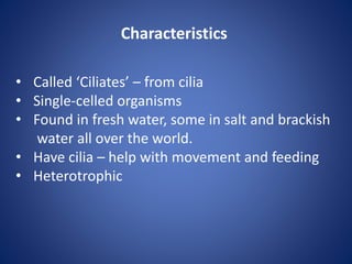 Paramecium ppt | PPTX