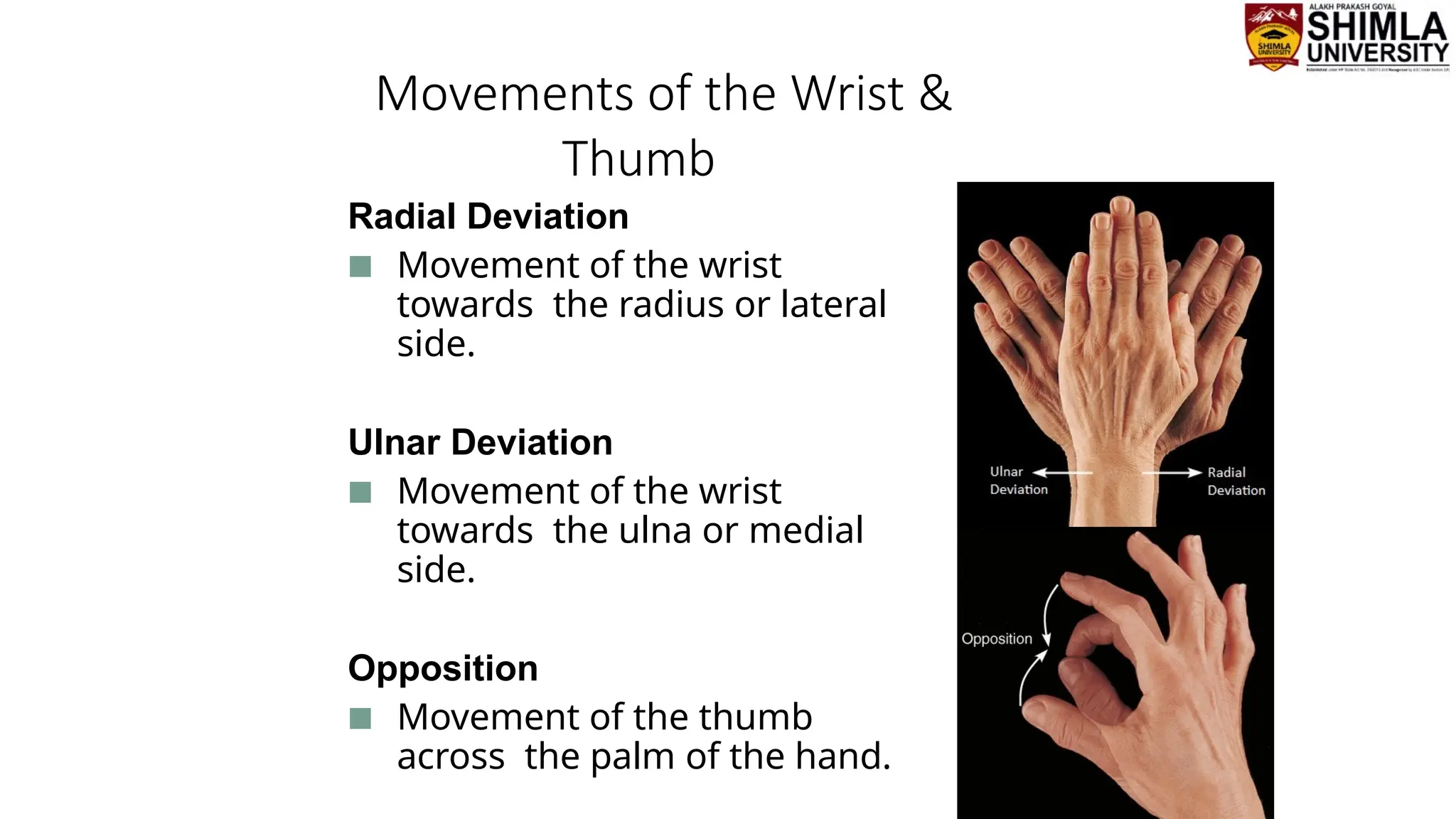 ParamedicalABachelors in Optometry19113rHUMrAP__3.2.pptx