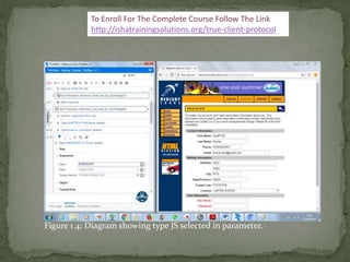 Parametrization using TruClient Protocol | PPTX