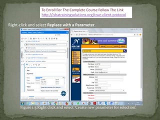 Parametrization using TruClient Protocol | PPTX
