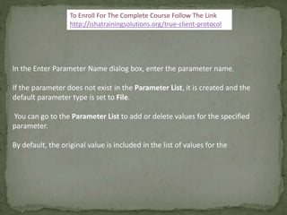 Parametrization using TruClient Protocol | PPTX