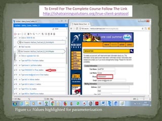 Parametrization using TruClient Protocol | PPTX