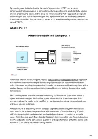 Parameter-Efficient Fine-Tuning Explained in Detail.pdf