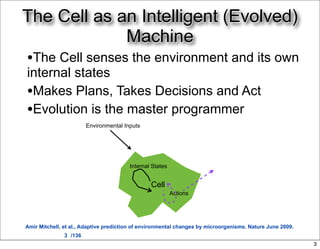 P Systems Model Optimisation by Means of Evolutionary Based Search Algorithms | PPT