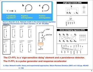 P Systems Model Optimisation by Means of Evolutionary Based Search Algorithms | PPT